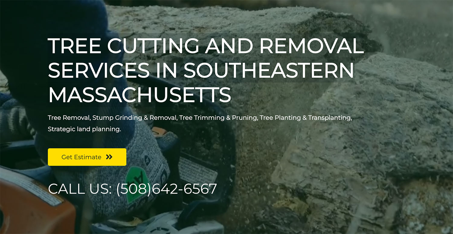 Tree Trimming vs Tree Removal: Which One Do You Need? - Family Tree ...