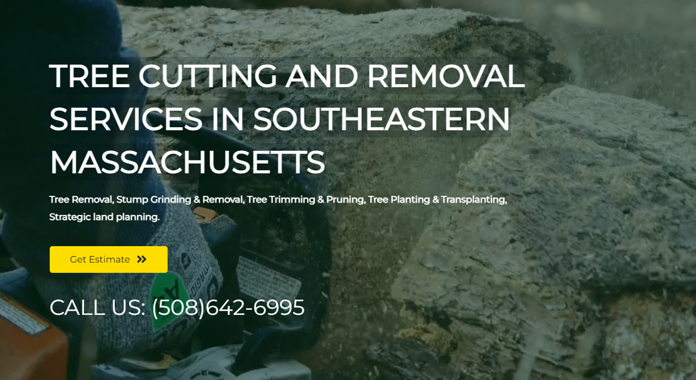 Tree Trimming vs Tree Removal: Which One Do You Need? - Family Tree ...